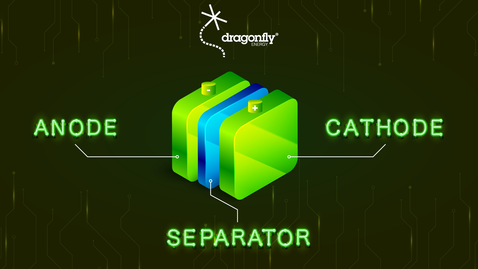 Anode vs Cathode: What's the Difference? | Dragonfly Energy Anode vs Cathode: What's the Difference? | Dragonfly Energy
