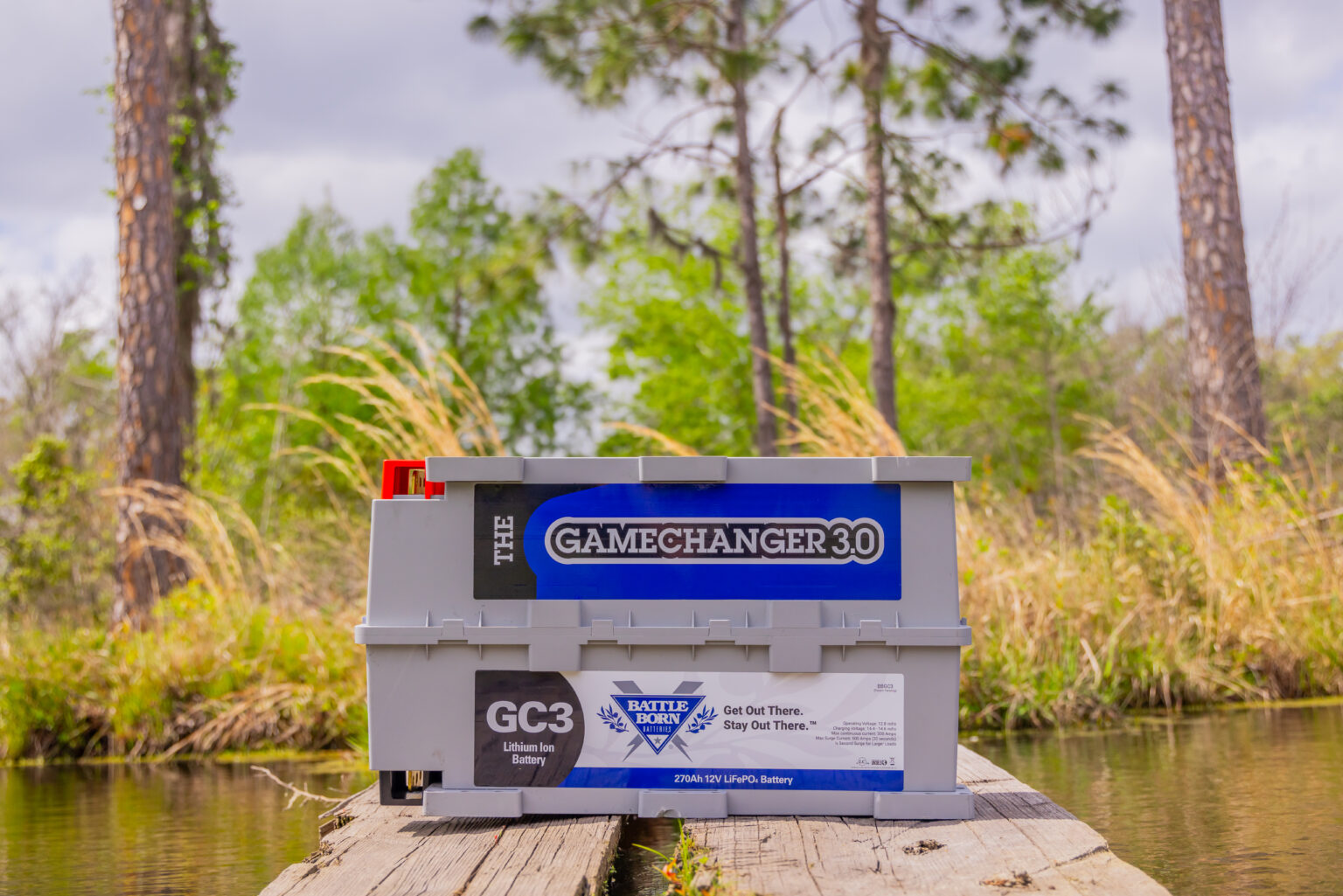 Anode vs Cathode: What's the Difference? | Dragonfly Energy